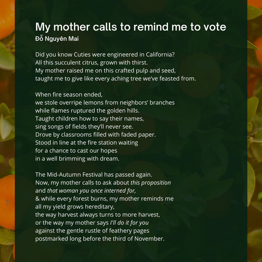 Voting Together Gallery - AAPI Civic Engagement Fund